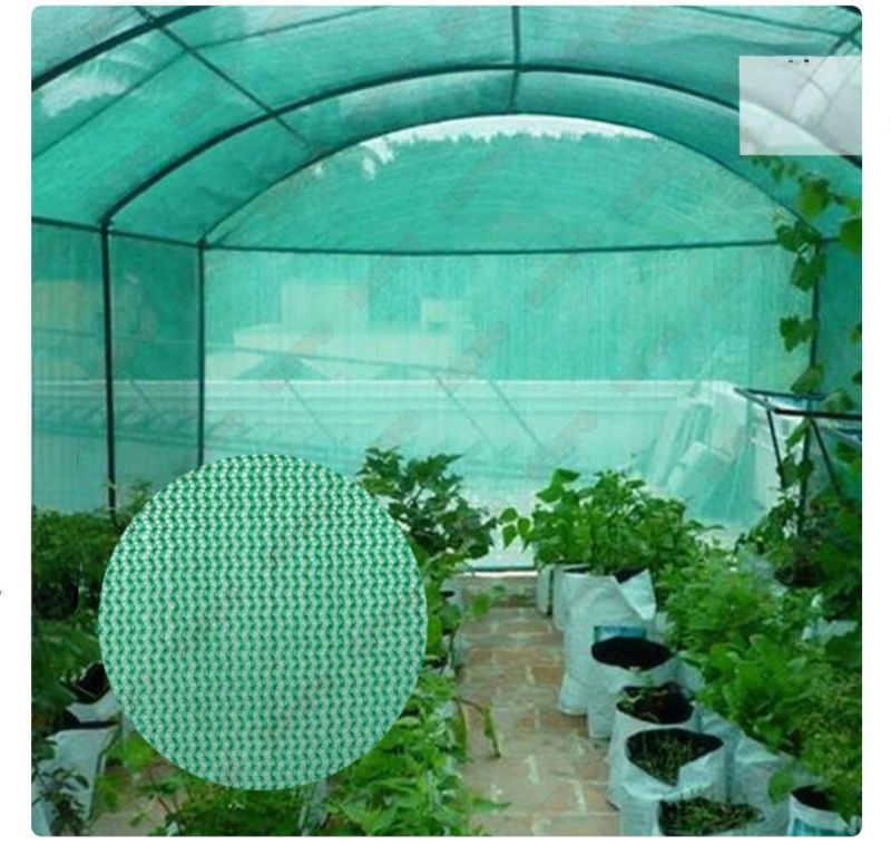 Agricultural Shade Nets, Color : Green, Packaging Type : Rolls at Rs 15 ...