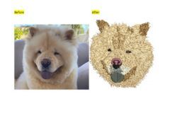 Odd Infotech in Coimbatore - Service Provider of Embroidery Digitizing ...