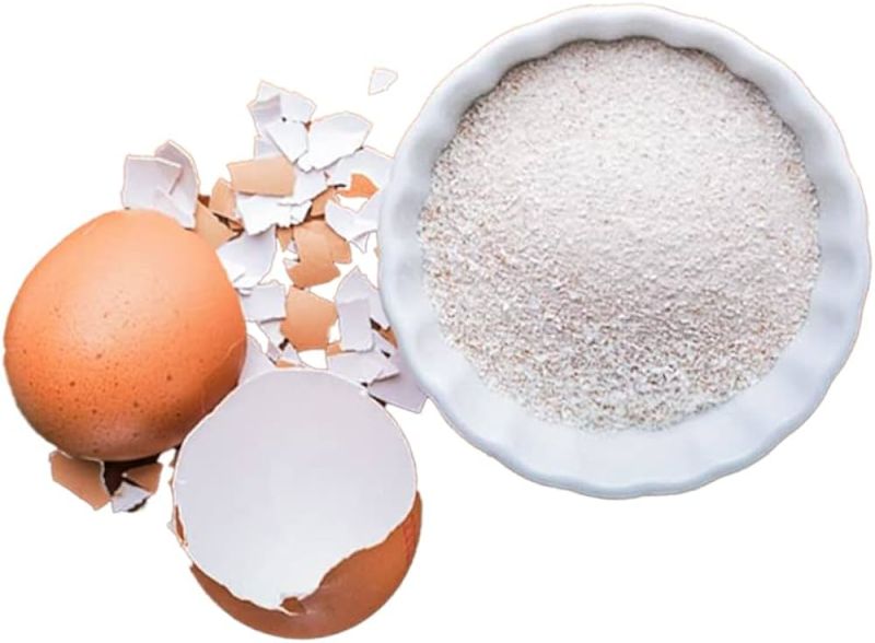Egg Shell Powder, Purity : 100% at Rs 250 in Patan - ID: 7452086 | H M ...