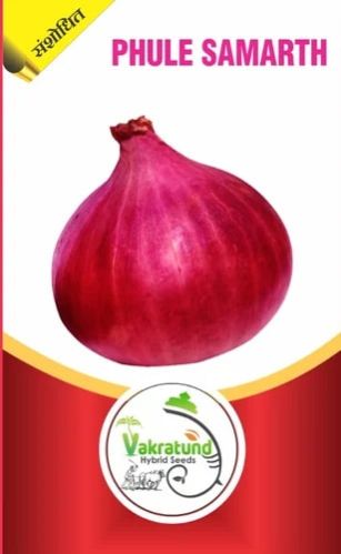 Phule Samarth Research Onion Seeds, Packaging Size : 500 Gm at Best Price in Jalna