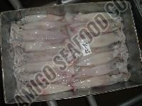 Frozen Squid, Packaging Type : Carton Boxes, Plastic Bag, Poly Bag at ...