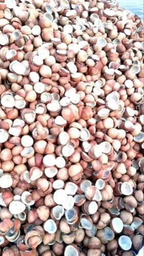 Natural Raw Coconut Copra for Oil, Cooking at Rs 120 in Tirupattur - ID ...