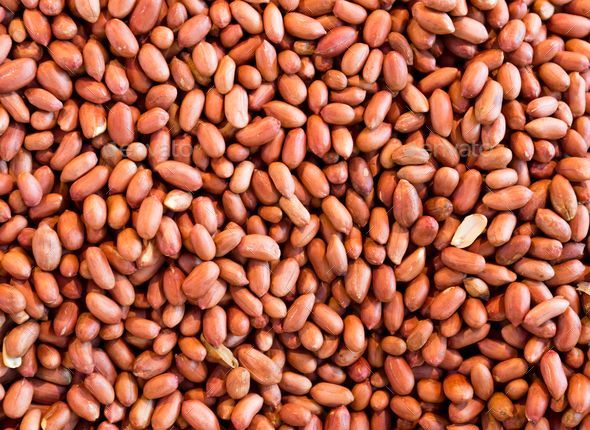 Wadekar Foods in Nashik - Exporter of Bold Peanuts & Java Peanuts Wadekar Foods in Nashik - Exporter of Bold Peanuts & Java Peanuts