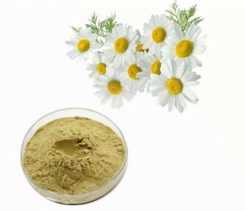 Chamomile Flower Powder, Color : Light Green, Packaging Type : Packet ...