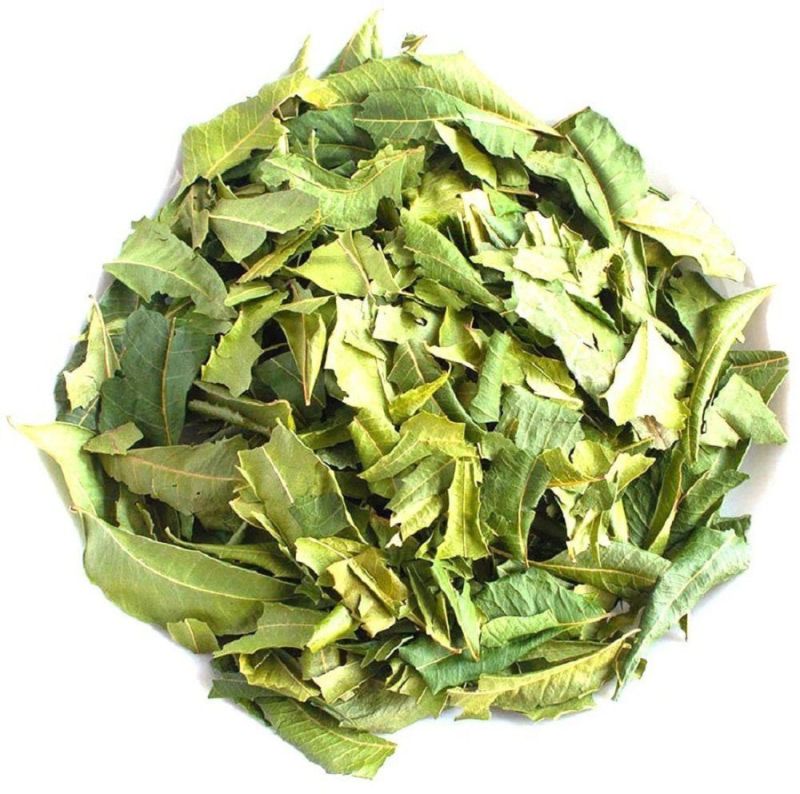 Solar Dried Neem Leaves, Color : Green, Packaging Type : Packet at Rs ...