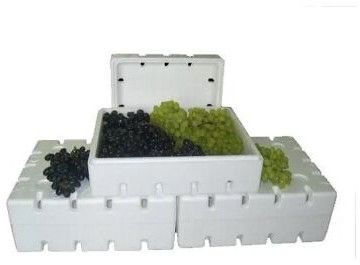 Thermocol Fruits Packaging Box, Color : White at Best Price in Mumbai ...