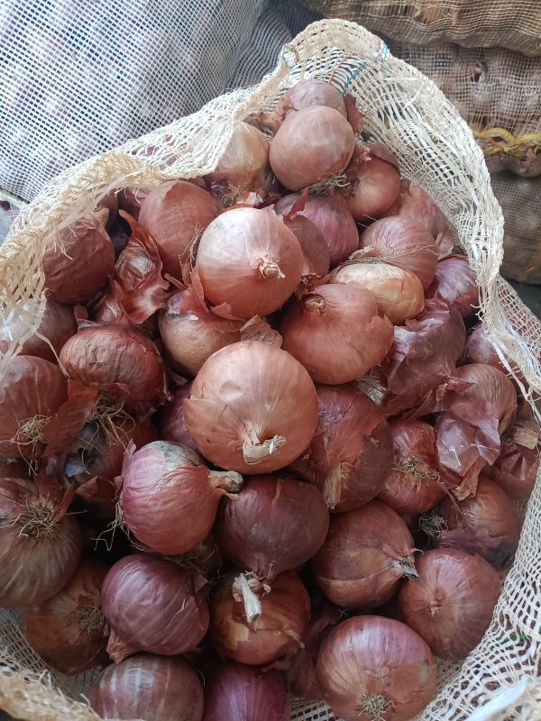 Sawariya foods in Dhar - Retailer of Fresh Onion