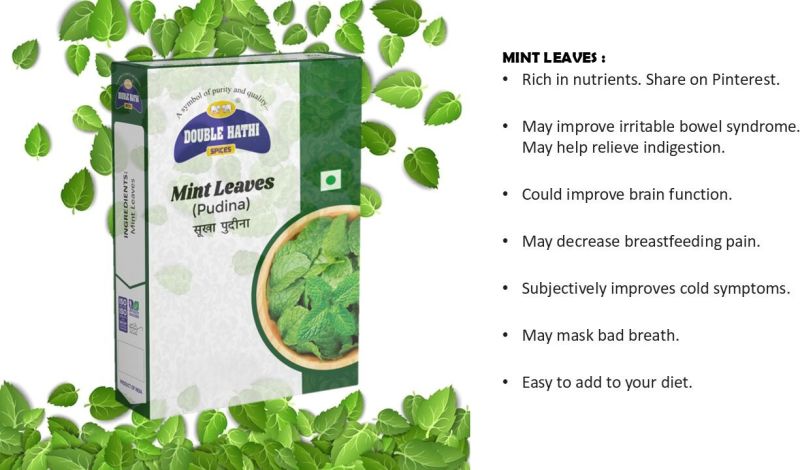 Mint Leaves Sukha Pudina, Quality : Premium at Rs 60 in Jamnagar - ID ...