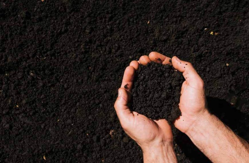 Soil Chemical Testing Kit, Packaging Type : Catron for Laboratory Use ...