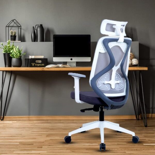 High Back Ergonomic Mesh Office Chair at Rs 16900 in Durgapur - ID: 7854993