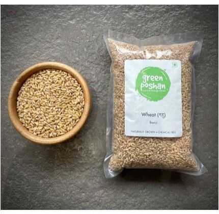 Bansi Gehu at Rs 85 in Nagpur - ID: 7992921 | Green Poshan