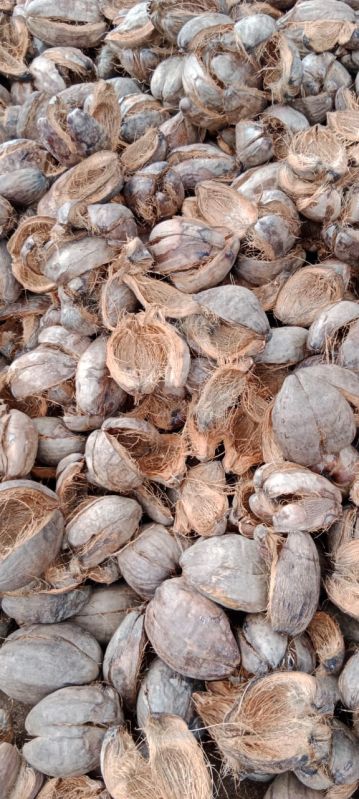 Lifestyle Communication Natural Raw Coconut Shell, Color : Brown at Rs ...