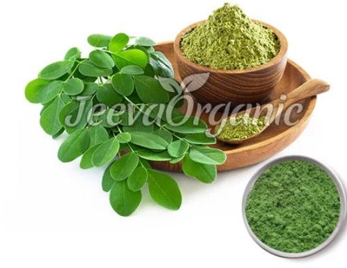 Organic Moringa Powder, Color : Green at Best Price in Bhubaneswar - ID ...