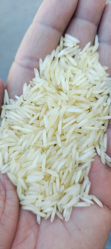 Sai Import Export Agro in Uttar pradesh - Manufacturer of Basmati Rice & Non Basmati Rice