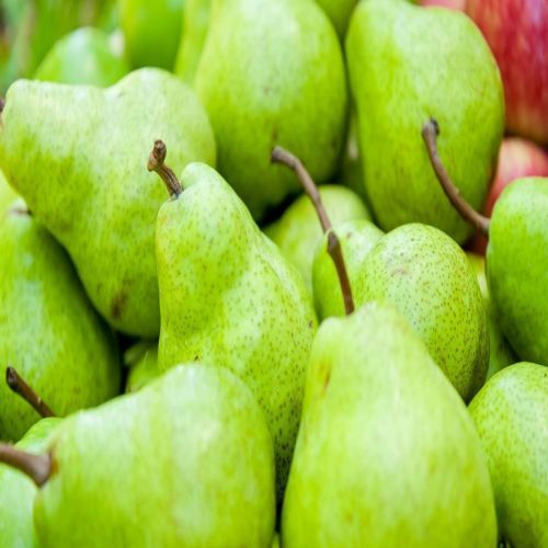 Natural Fresh Pear, Color : Green, Certification : FSSAI Certified at ...
