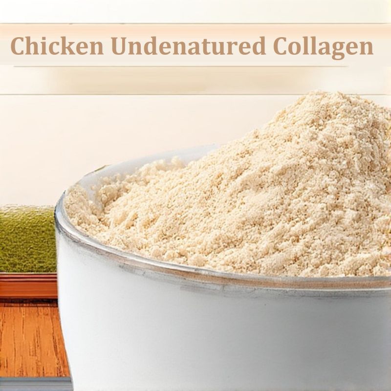 Flavin Naturals Chicken Undenatured Collagen, Form : Powder at Best ...