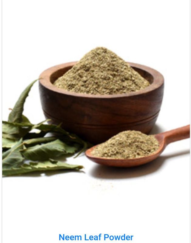 Neem Leaf Powder, Color : Green, Grade Standard : Medicine Grade at ...