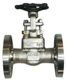 ASTM A182 F304L Gate Valve, API 602, 3/4 Inch, 300 LB, Bb, RF at Best Price in Andaman