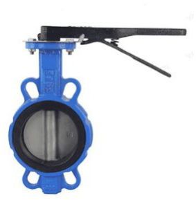 Pinless Butterfly Valve, ASTM A216 Wcb, 2-24 Inch, 150 LB at Best Price in Andaman
