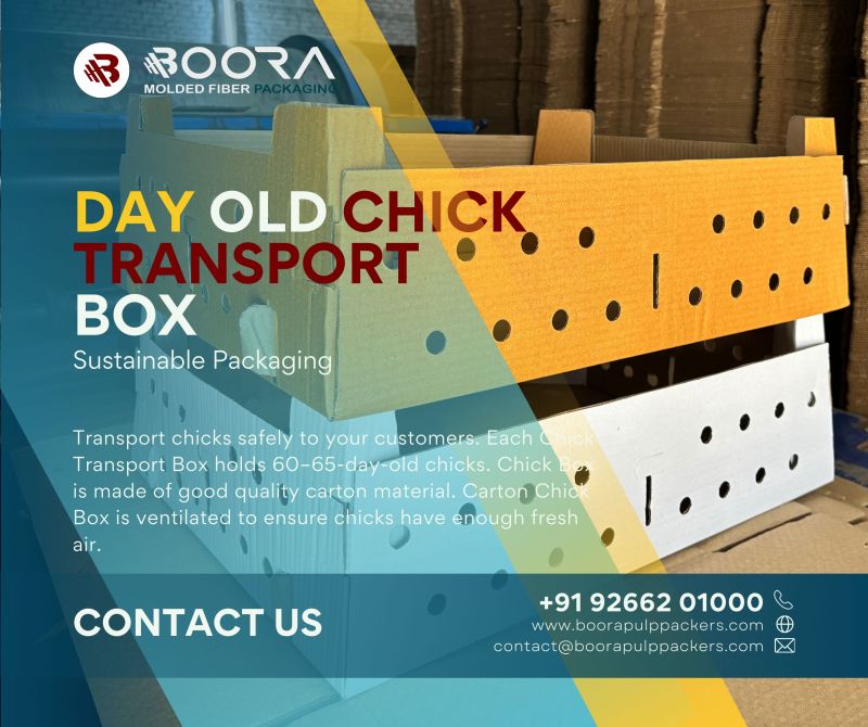 Plain Corrugated Chick Box For Food Packaging, Shipping at Rs 32 in ...