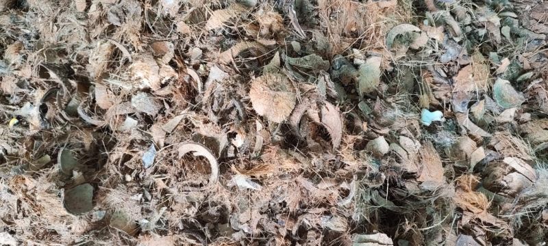 Coconut Shell, Color : Brown Dried for Agriculture at Rs 50 in ...
