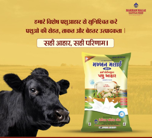 Makhan Malai Gold Maize Oil Cake at Best Price in Aravalli - ID: 6129902