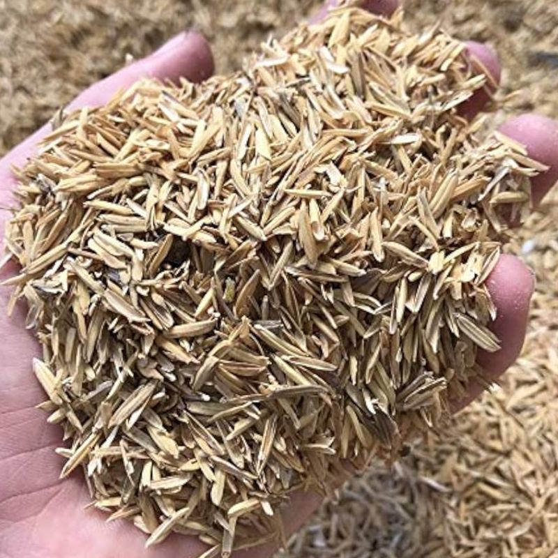 Rice Husk, Moisture : 5% for Animal Feed at Rs 20 in Etawah - ID: 8314388
