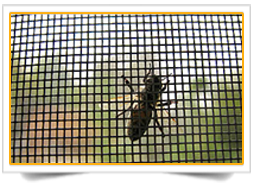 Insect Screen - Micro Mesh India Private Limited, IMT Manesar, Haryana