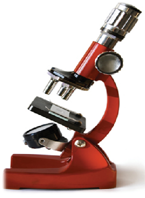Medical Microscope - Nbms Global, Delhi, Delhi
