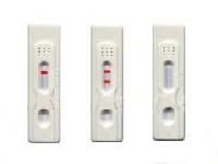 Suneel Pharma and Diagnostics in Hyderabad - Retailer of rapid ...