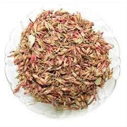 Dhai Phool Dry Extract at Rs 600 in Bulandshahr - ID: 3219814 | Ideal ...