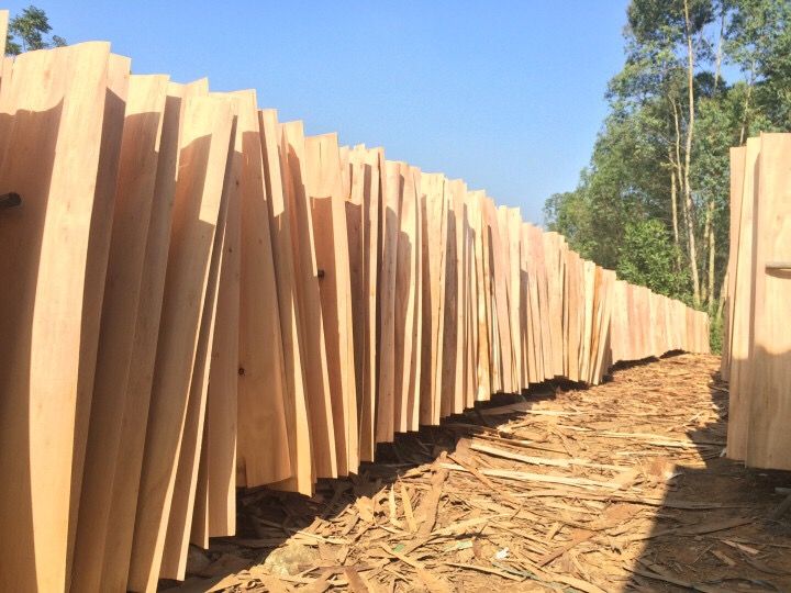 KEGO Company Ltd in Vietnam - Supplier of Plywood & Acacia Core Veneer