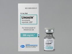 Lincomycin Injection at Best Price in Surat - ID: 3217853 | Seventeen ...