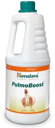 PulmoBoost at Best Price in Bangalore - ID: 3344178 | Himalaya