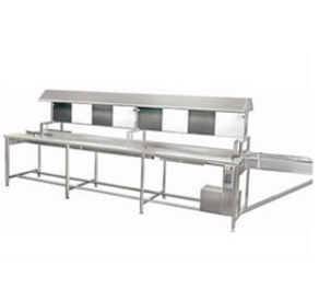 Visual Inspection Table - PRISM PHARMA MACHINERY, Ahmedabad, Gujarat