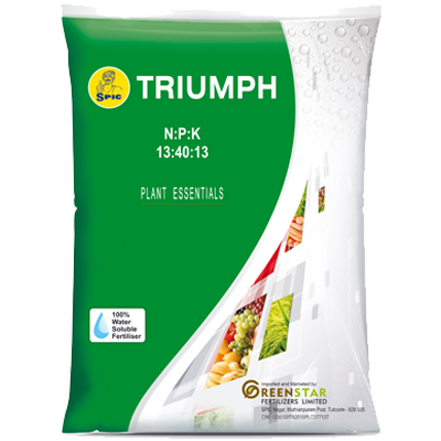 SPIC Triumph - SPIC Ltd, Chennai, Tamil Nadu