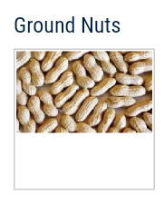 Shelled Groundnuts at Best Price in Anantnag | Kashmir Valley Dry Fruits
