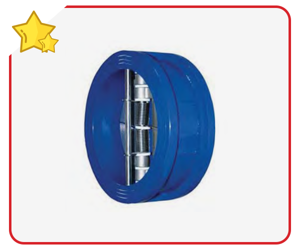 Dual Disc Check Valve at Best Price in Mumbai | Cospower Engineering ...