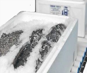 GALAXY POLYSTYRENE LLC in Dubai - Supplier of Fish Boxes & Vegetable Boxes