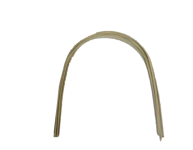 TOOTH COLOR WIRES at Best Price in Thrissur | JJ Orthodontics Pvt.Ltd.