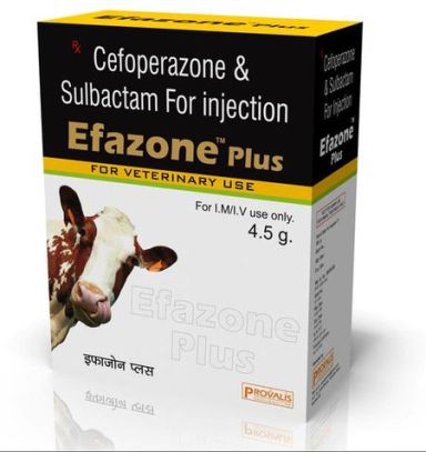 Efazone Plus Injection - Provalis india Health care, Ludhiana, Punjab