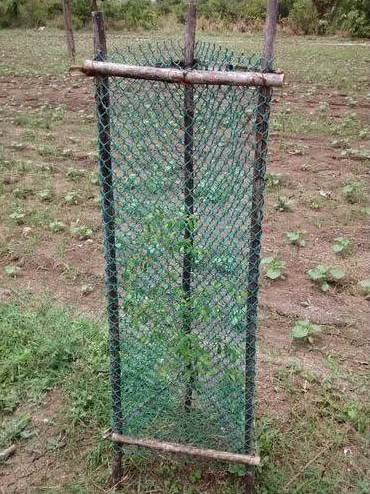 Tree Guard Manufacturer in PANCHKULA Haryana India by Esscorts ...