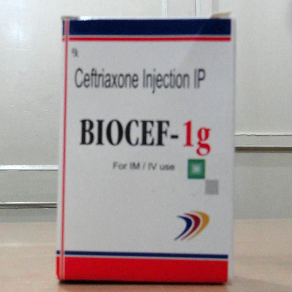 Biocef-1g Injection at Best Price in Panchkula - ID: 675127 | Hindustan ...