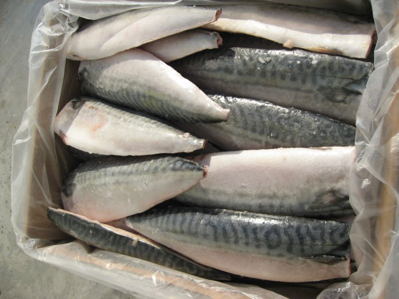 GREEN VALLEY SARL - Supplier of Frozen Fish & Chemical Products