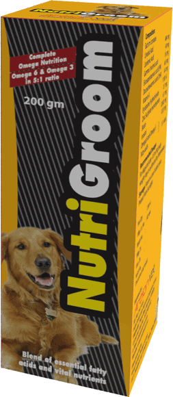 Hittix Foming Gel & Hittix Anti-Tick Shampoo Retailer | Areion Vet, Thane Hittix Foming Gel & Hittix Anti-Tick Shampoo Retailer | Areion Vet, Thane