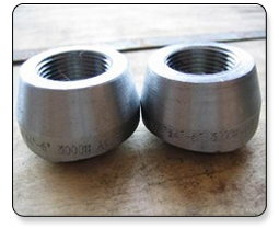 Threadolet at Best Price in Mumbai | Century Steel Corporation