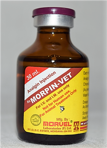 Analgin Injection at Best Price in Mahesana | Morvel Laboratories (P.) Ltd.