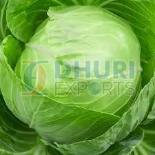 Cabbage at Best Price from Fresh Iceberg Suppliers & Wholesalers in India