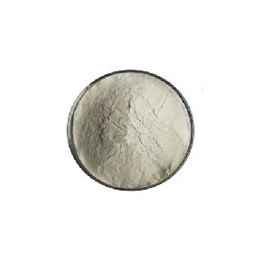 Invertase Enzyme Powder, Packaging Size : 25 Kg, Packaging Type : HDPE ...