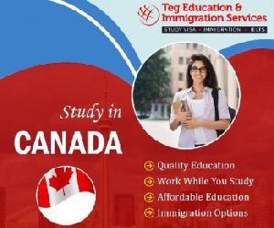 immigration service Service Provider | SWICS Immigration Services, Mohali